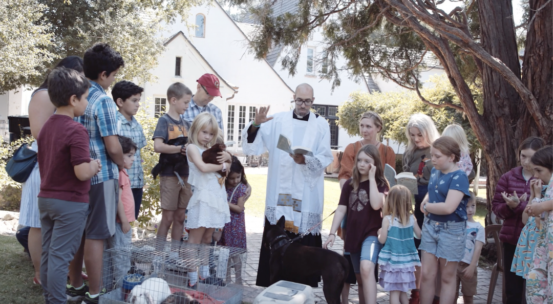 An At Home Blessing of Animals for the Feast of Saint Francis ...
