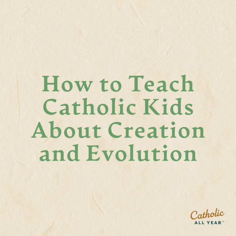 How to Teach Catholic Kids About Creation and Evolution - Catholic All Year